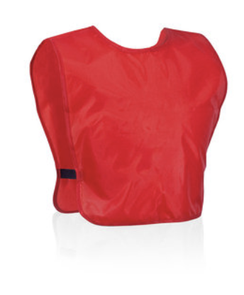 A volta ó cole en Serigal – Serigal